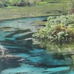Private Tour Rotorua + Blue springs + WaiOtapu + Redwood forest - Authentic Feedback from Participants