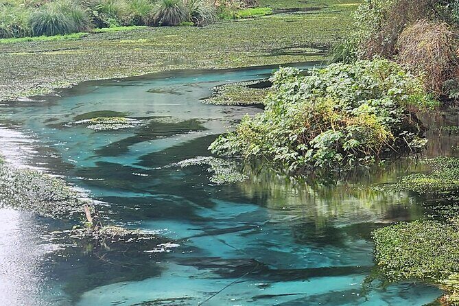 Private Tour Rotorua + Blue springs + WaiOtapu + Redwood forest - Authentic Feedback from Participants