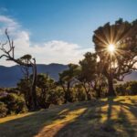 Private Tour VIP - The Itinerary and What to Expect