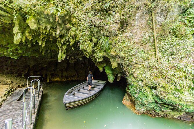 Private Tour Waitomo Caves from Auckland - What’s Included, What’s Not