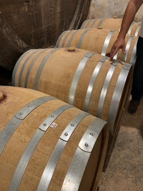 Private tour: Wine tasting, experience real Mallorca - Transportation & Group Size