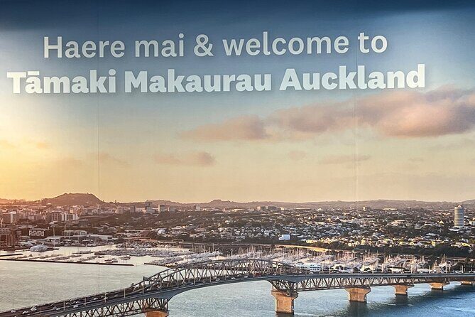 Private Transfer From Auckland Airport To Cambridge - Detailed Breakdown of the Experience