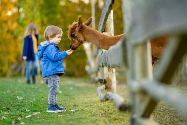 Private Transport to Berlin Zoo with Skip-the-line Ticket - The Itinerary: What Makes It Special?