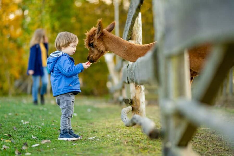 Private Transport to Berlin Zoo with Skip-the-line Ticket - The Itinerary: What Makes It Special?