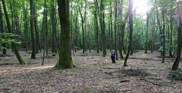 Private TruffleHunting Tour from Belgrade  Lunch with Wine - A Deep Dive into the Truffle Hunting Experience