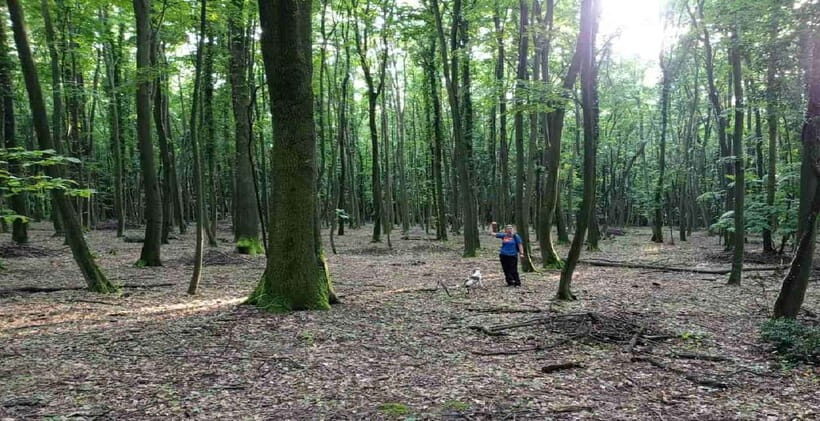 Private TruffleHunting Tour from Belgrade  Lunch with Wine - A Deep Dive into the Truffle Hunting Experience