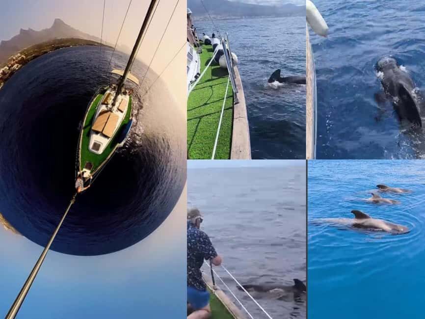 Private Whales & Dolphins Excursion: for you exclusively! - The Experience from a Traveler’s Perspective