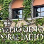 Private Wine & Museum Tour at Gerovassiliou Winery - The Greek Wine Museum: A treasure trove of artifacts