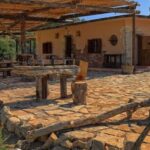 Private Wine Tour - What You Can Expect from the Tour