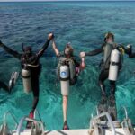 Professional Guided Scuba Diving: Swim with colorful fish. - The Sum Up