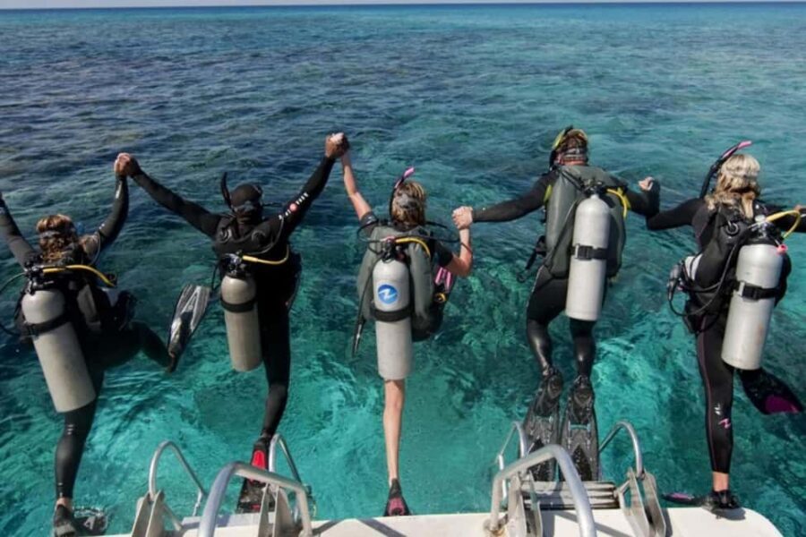 Professional Guided Scuba Diving: Swim with colorful fish. - The Sum Up