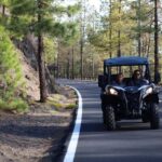 Puerto de la Cruz: Buggy Teide Sunset National Park - The Itinerary: From Lava to Lunar Landscapes