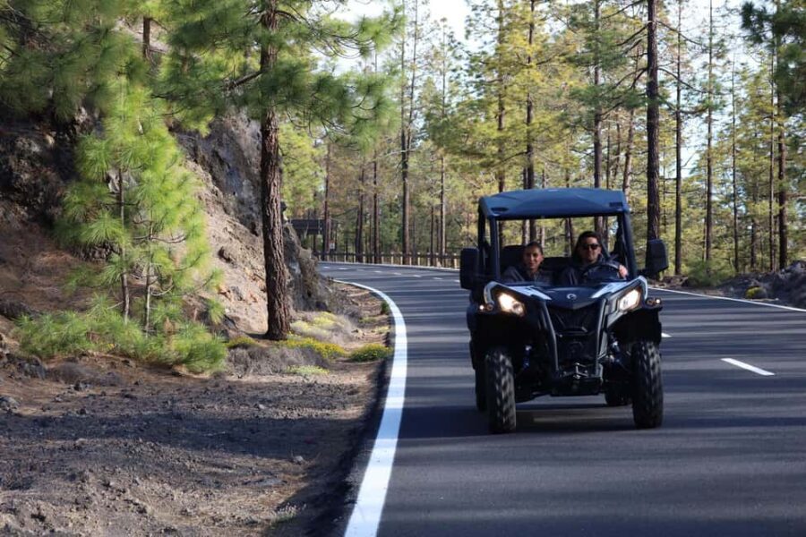 Puerto de la Cruz: Buggy Teide Sunset National Park - The Itinerary: From Lava to Lunar Landscapes
