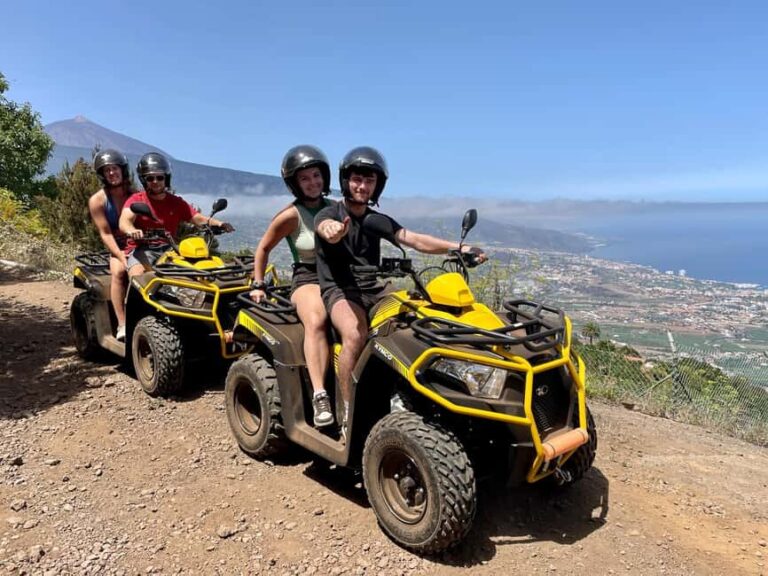 Puerto de la Cruz: Quad Tour to Teide or Off-Road Valley - What to Expect from Your Quad Tour