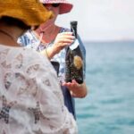 Puerto de Mazarrón: Undersea Wine Tasting Experience - Key Points