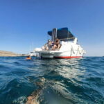 Puerto de Mogán: PRIVATE yacht for up to 9 people - The value of this experience