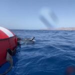 Puerto del Carmen: Freediving Try Dive in Pool or Open Water - A Detailed Look at the Experience