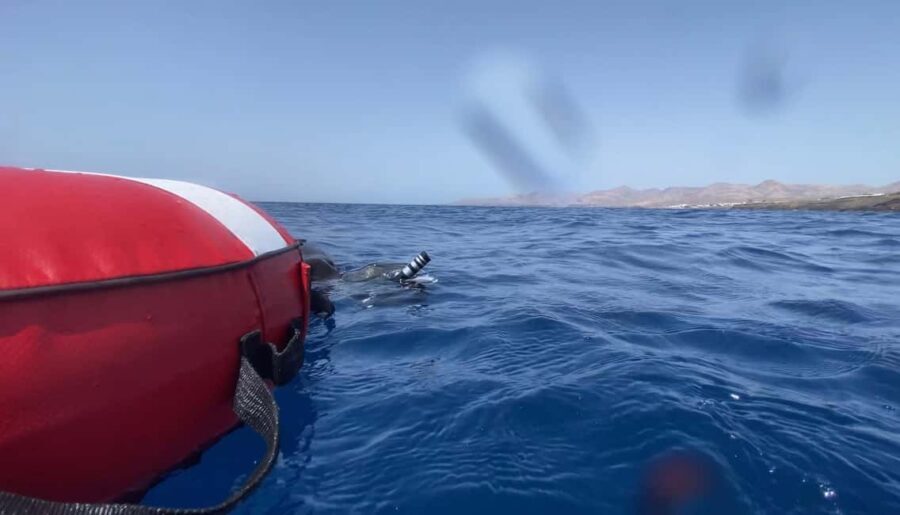 Puerto del Carmen: Freediving Try Dive in Pool or Open Water - A Detailed Look at the Experience