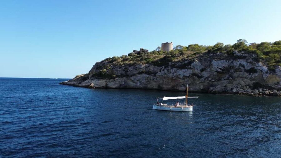 Puerto Portals: 100% electric Mallorcan boat tour with professional skipper - What the Experience Includes