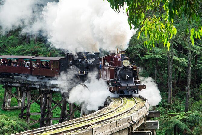 Puffing Billy And Healesville Sanctuary Scenic Tour - Experience and Value