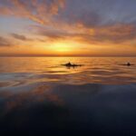Pula: Private Sunset Boat Trip with Dolphins - What Makes This Trip Stand Out