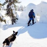 Pyhä: Skiing Tour in Arctic Forest - What to Expect on Your Arctic Skiing Adventure