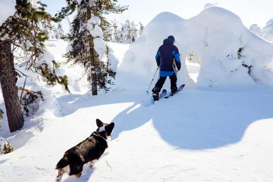 Pyhä: Skiing Tour in Arctic Forest - What to Expect on Your Arctic Skiing Adventure