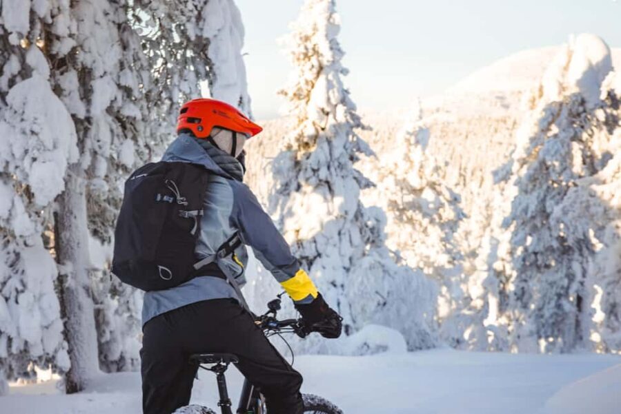 Pyhätunturi: Electric Fatbike Tour in Finnish Lapland - Practical Details and What to Expect
