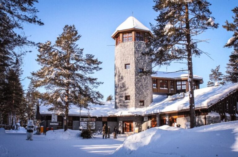 Ranua Wildlife Park Guided Tour from Rovaniemi, With Lunch - The Value of the Tour: Price and Experience