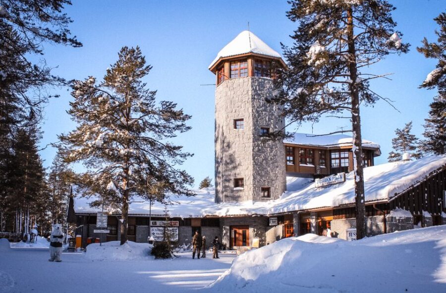 Ranua Wildlife Park Guided Tour from Rovaniemi, With Lunch - The Value of the Tour: Price and Experience