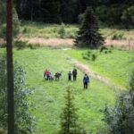 Reindeer Hike in Kuusamo nature - Who Will Love This Tour?