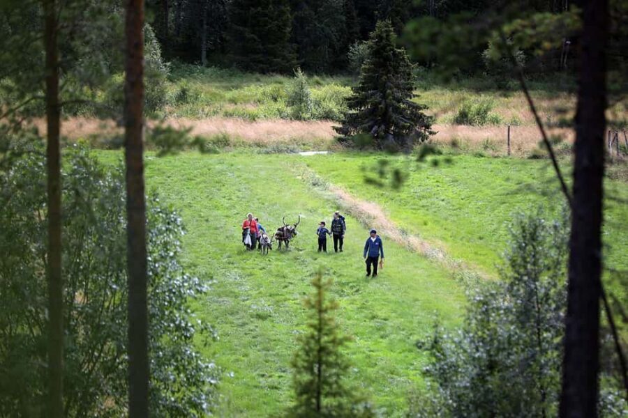 Reindeer Hike in Kuusamo nature - Who Will Love This Tour?