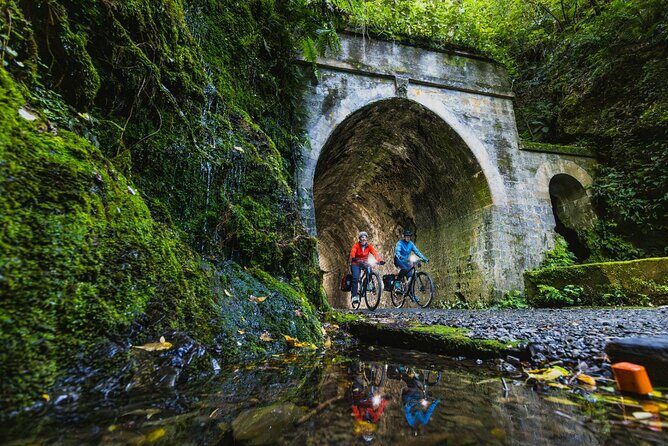 Remutaka Rail Trail Mountain Bike Explorer Cycle Tour - Who Will Enjoy This Tour?