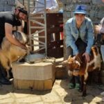 Rethymno Bal & Panormo:Cretan Experience TourSpecial Lunch - The Traditional Shepherd’s Life