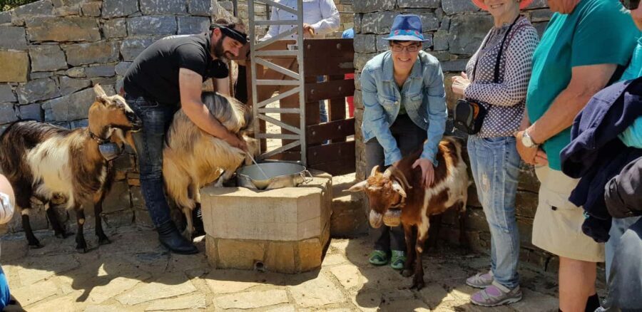 Rethymno Bal & Panormo:Cretan Experience TourSpecial Lunch - The Traditional Shepherd’s Life