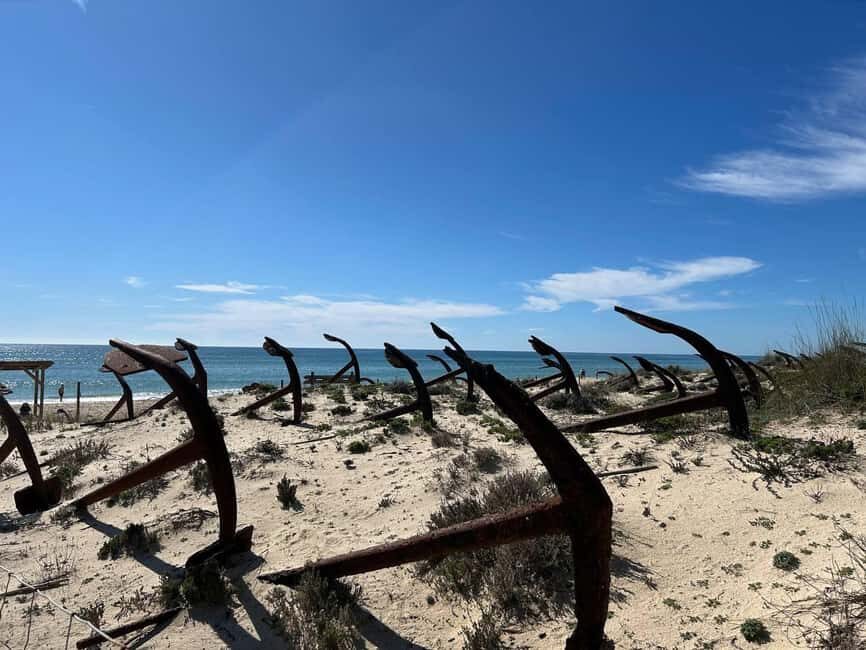 Return bike tour from Tavira to Olhão - What the Reviews Say