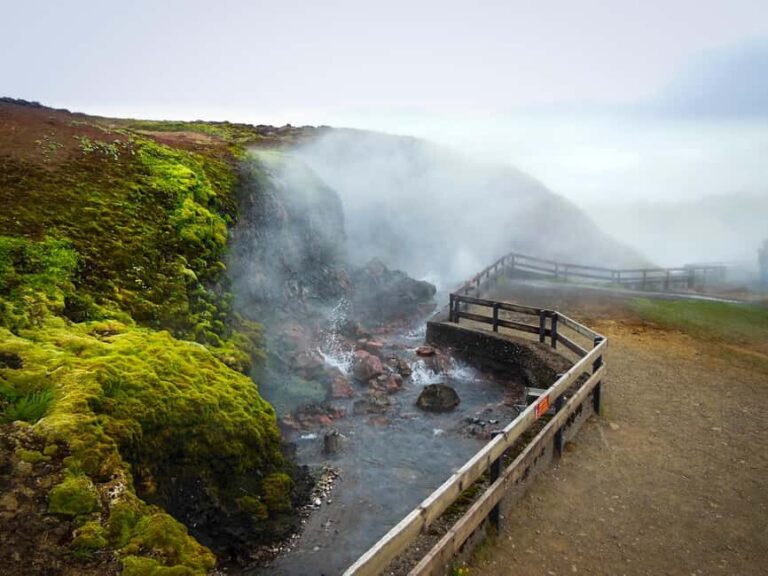 Reykjavik: Silver Circle + Ice Tunnel, Baths, or Lava Cave - The Practical Aspects