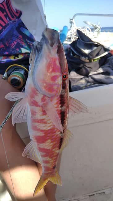Rhodes: 4 Hour Private Boat Fishing Trip with Equipment - Why This Experience Is Worth Considering