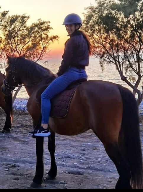 Rhodes Island: Horseback Riding at the Beach During Sunset - The Itinerary in Detail