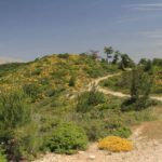 Rhodes: Safari with experienced driver - South pick ups - The Sum Up