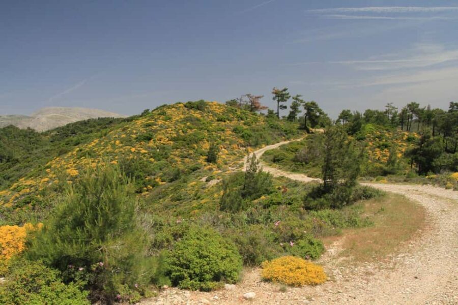 Rhodes: Safari with experienced driver - South pick ups - The Sum Up