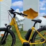 RIA - Ride in Aveiro | Rent-a-bike | E-BIKE - The Itinerary: What to Expect on Your Day of Cycling in Aveiro