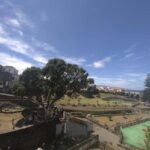 Ribeira Grande: Food & Culture Walking Tour - The Practicalities