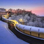 Riga: Husky Dog Sledding and Ride in Bobsleigh Track - Authenticity and Value