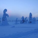 Riisitunturi National Park Snowshoe Adventure - Final Thoughts