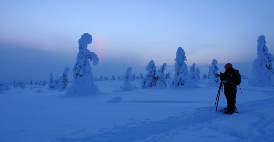 Riisitunturi National Park Snowshoe Adventure - Final Thoughts