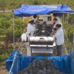 Rioja Winery & Traditional Lunch From Pamplona or Logroño - FAQs