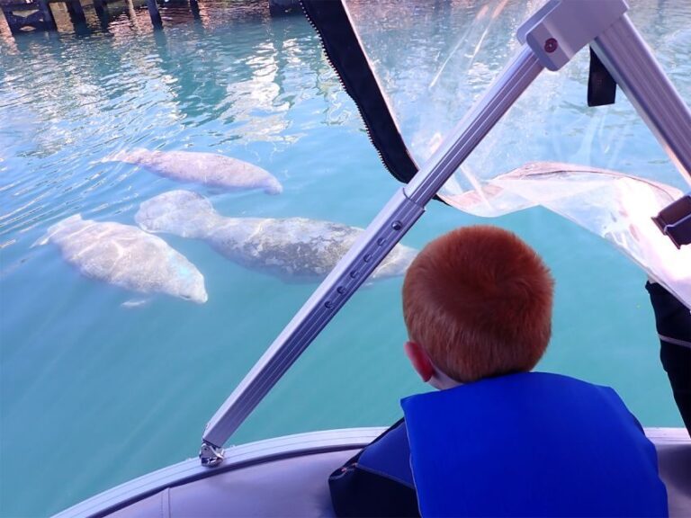 River Cruise with Manatee Viewing - Who Will Love This Tour?