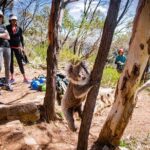 Rock Climbing and Abseiling in Adelaide - Abseiling: Taking the Plunge