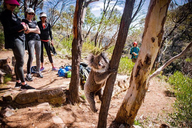 Rock Climbing and Abseiling in Adelaide - Abseiling: Taking the Plunge